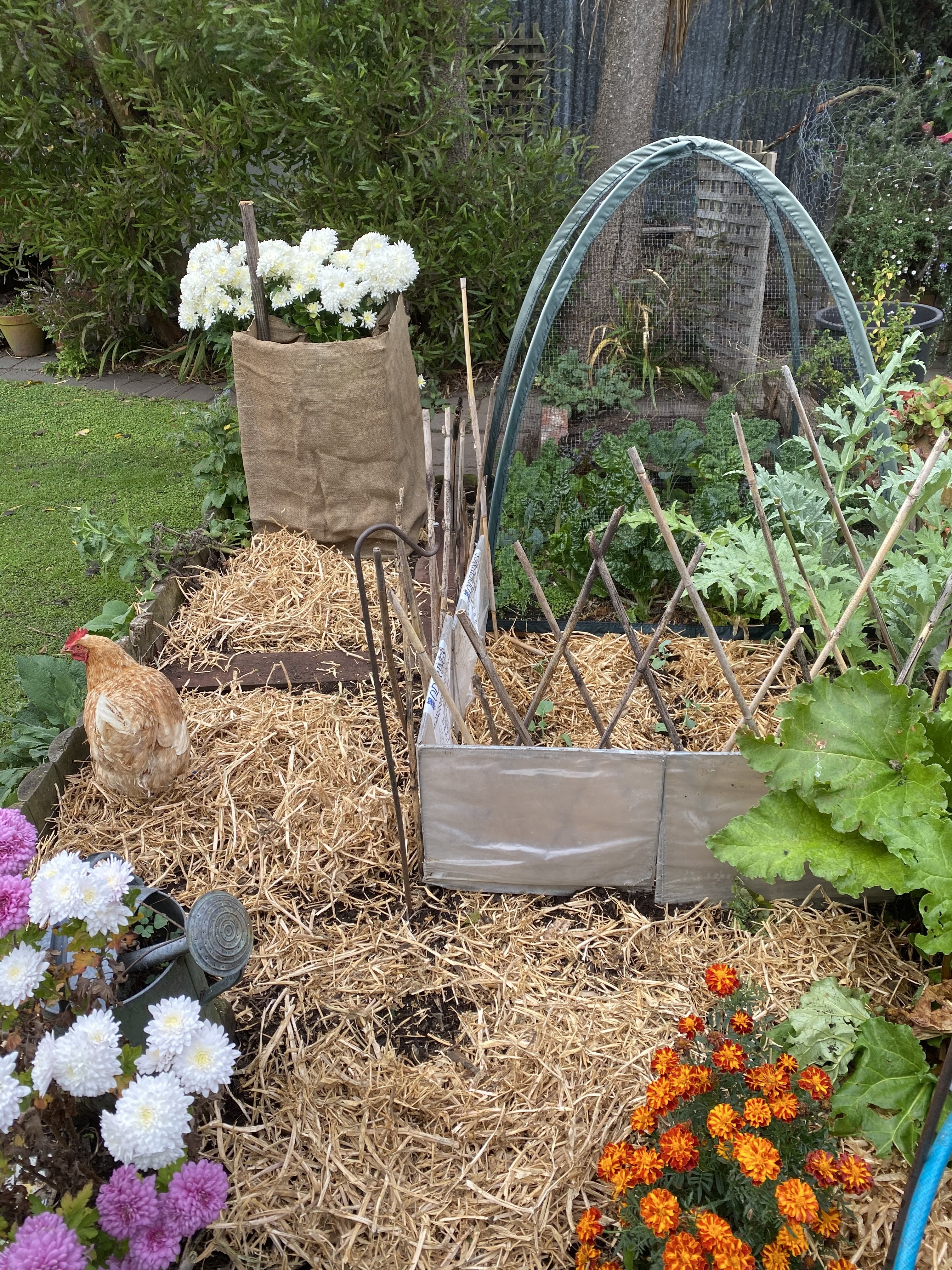 Bye bye Betty Blue – Anne-O-tations